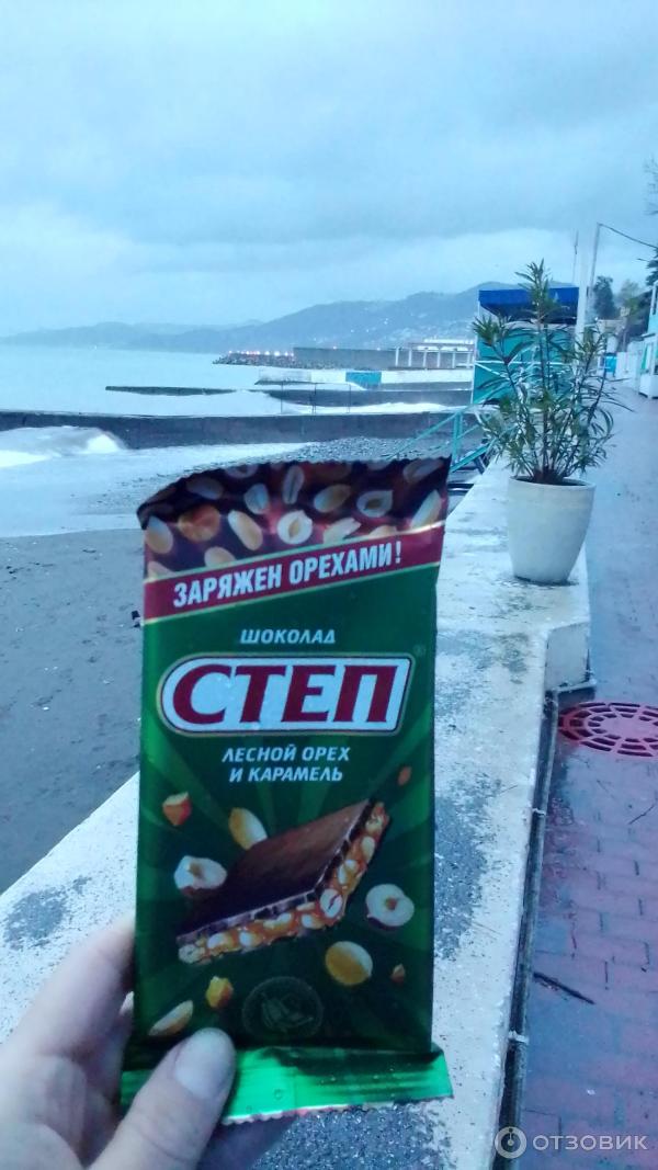 Отзыв о Шоколад молочный с начинкой Степ лесной орех с карамелью Вкусный
