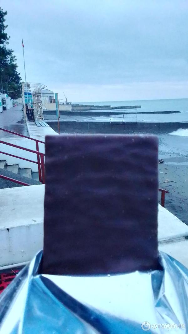 Отзыв о Шоколад молочный с начинкой Степ лесной орех с карамелью Вкусный