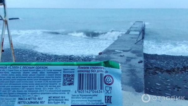 Отзыв о Шоколад молочный с начинкой Степ лесной орех с карамелью Вкусный