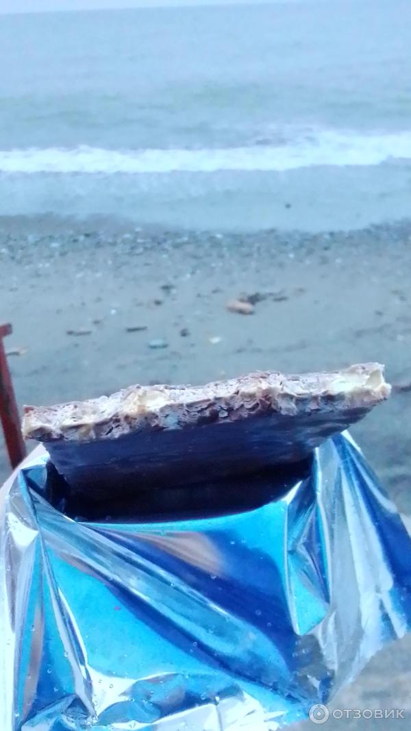 Отзыв о Шоколад молочный с начинкой Степ лесной орех с карамелью Вкусный