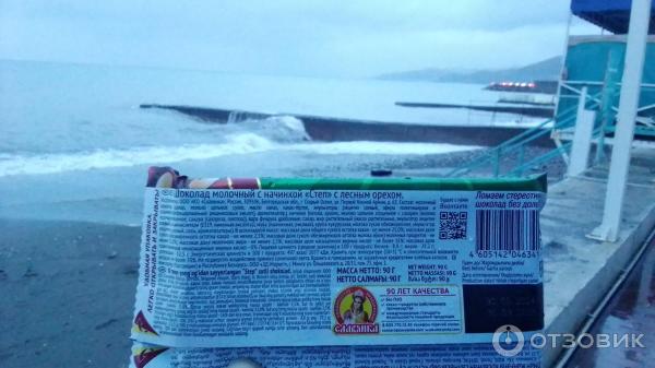 Отзыв о Шоколад молочный с начинкой Степ лесной орех с карамелью Вкусный