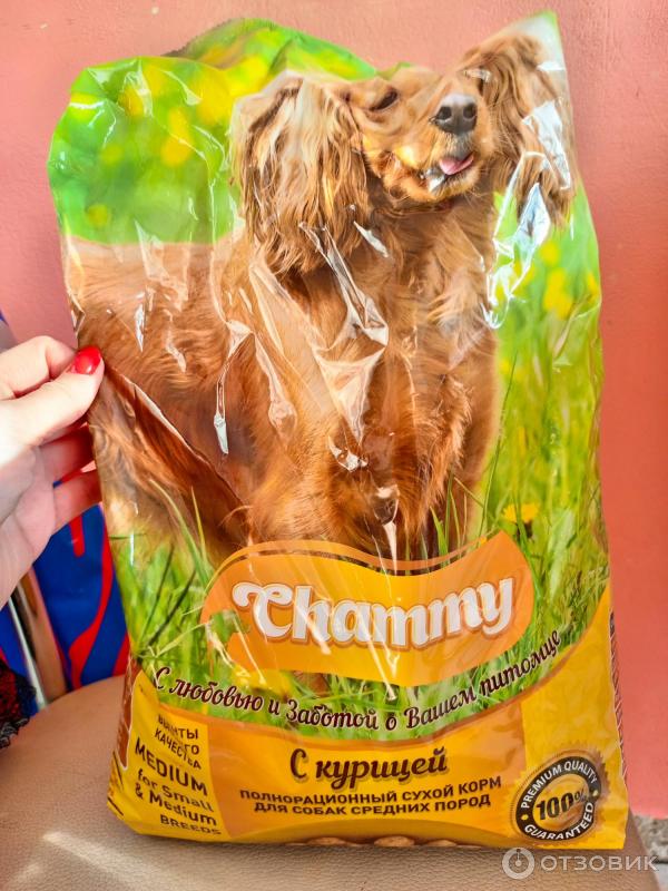 Отзыв о Сухой корм для собак Chammy | Не с чем сравнивать...