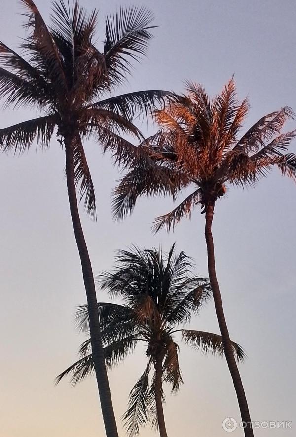 Отзыв о Улица Jomtien Beach Road (Таиланд, Паттайя) | Улица контрастов...