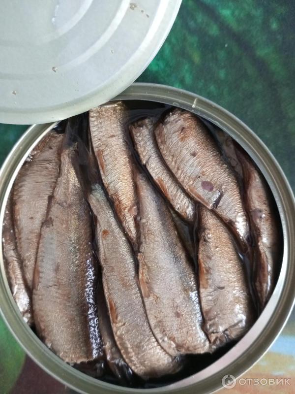 Отзыв о Шпроты из балтийской кильки в масле За Родину "Рыбная деревня ...