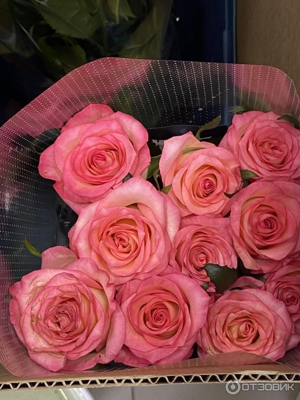 Отзыв о Магазин цветов "Дон Пион" (Россия, Калуга) | Лучшие флористы ...