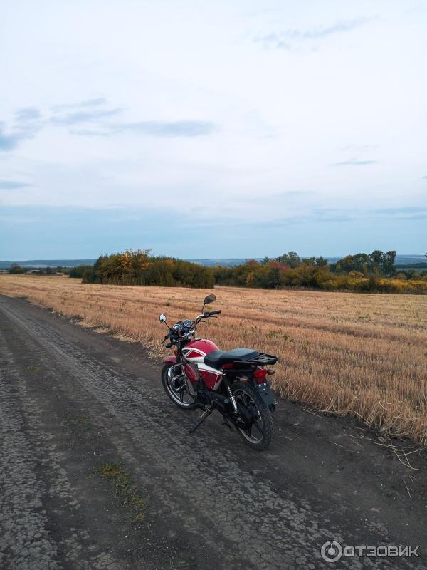 Отзыв о Мопед Альфа RX "Мотоленд" | Надежный и недорогой мопед