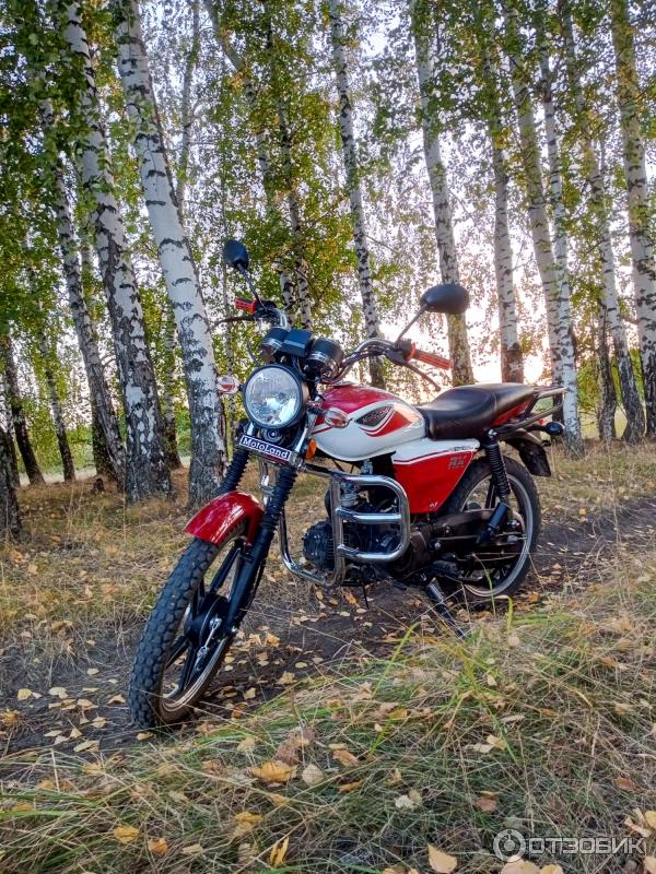 Отзыв о Мопед Альфа RX "Мотоленд" | Надежный и недорогой мопед