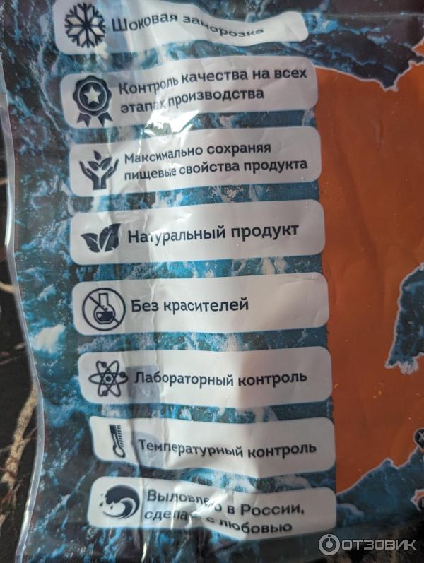 Отзыв о Филе горбуши мороженое BigFish | Шикарные медальоны из горбуши