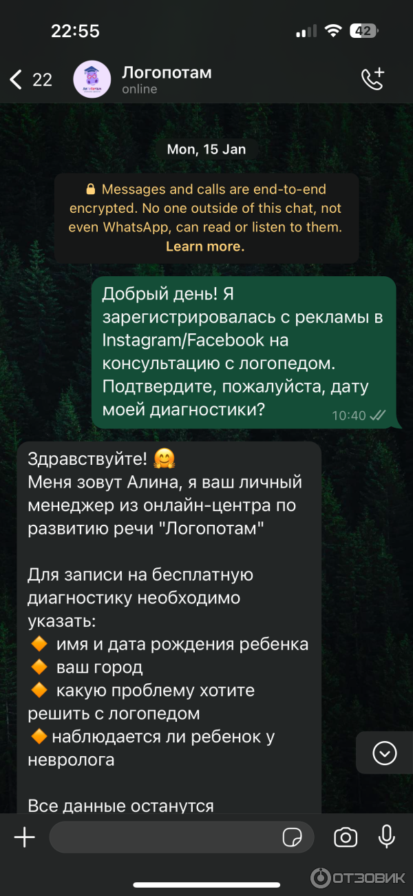 Отзыв о Logopotam.ru - онлайн-логопеды | Педагогами очень довольны