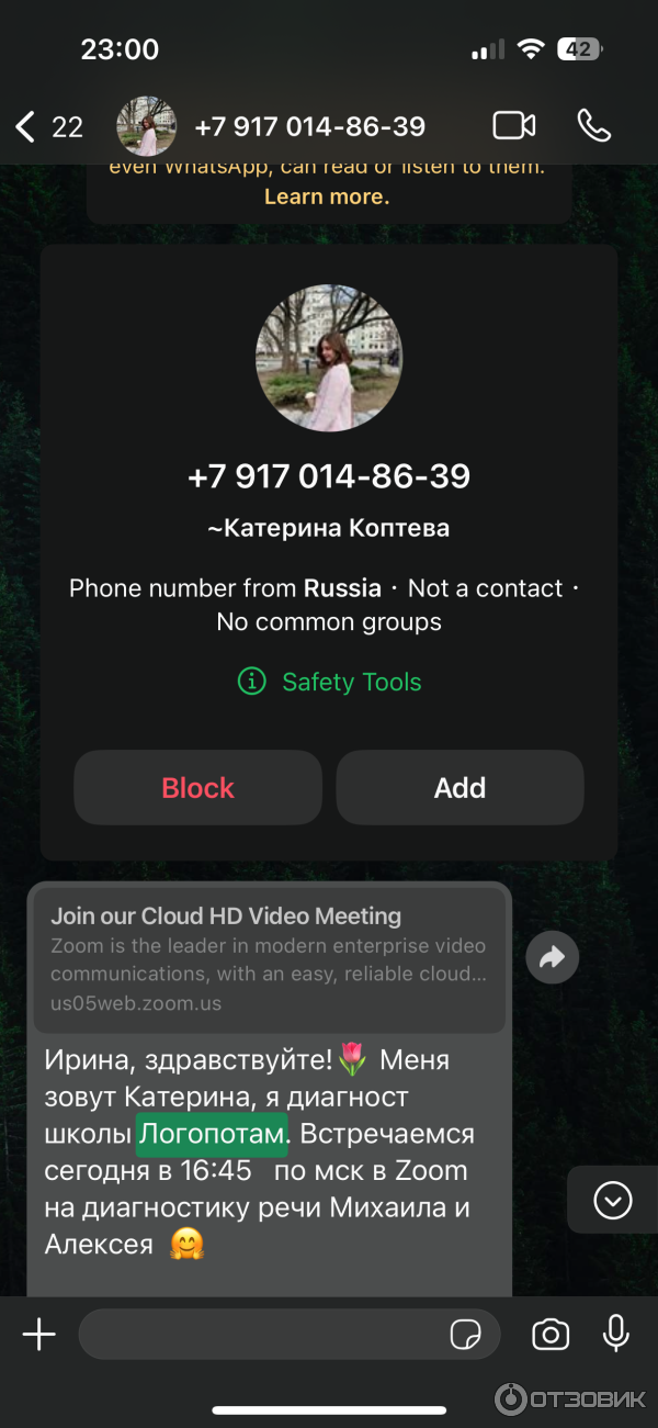 Отзыв о Logopotam.ru - онлайн-логопеды | Педагогами очень довольны