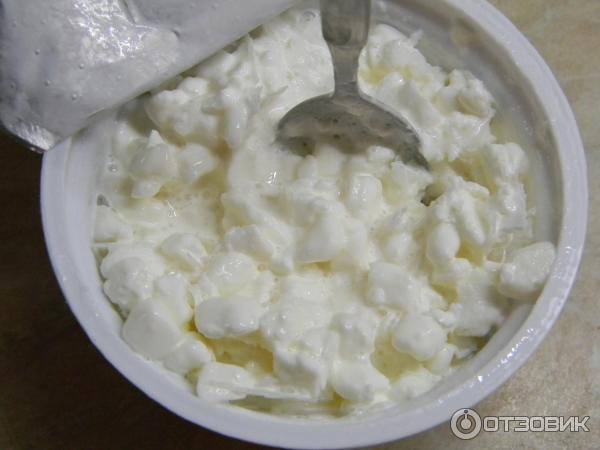 Отзыв о Творог зерненый "Савушкин" | Продукт достойный