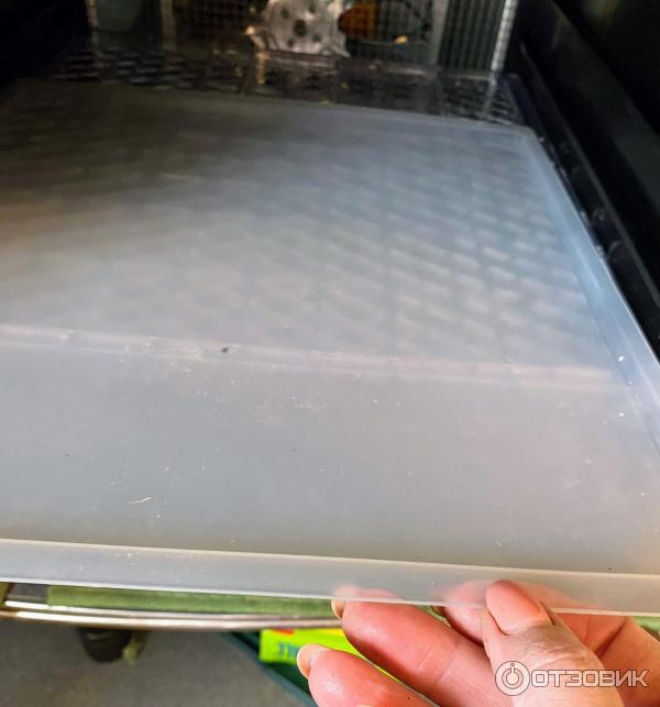 Отзыв о Сушилка для овощей и фруктов Red Solution RFD 0151 | полезный, удобная в использовании ...