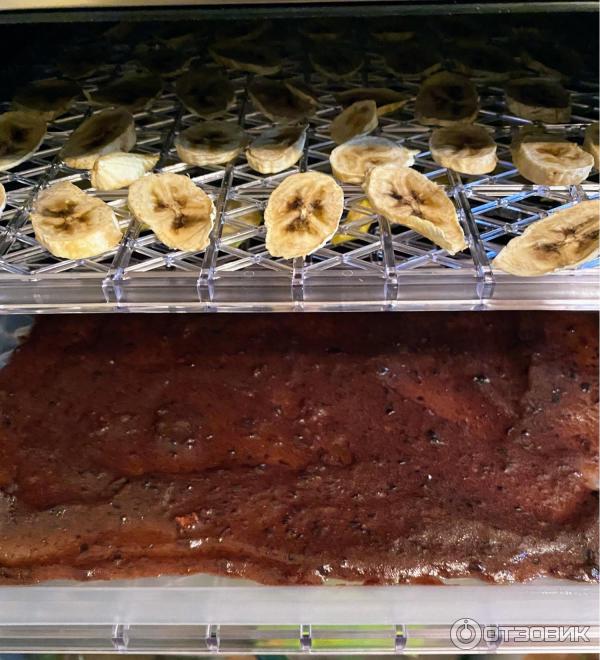 Отзыв о Сушилка для овощей и фруктов Red Solution RFD 0151 | полезный, удобная в использовании ...