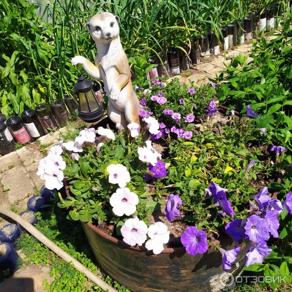 Отзыв о Органминеральное удобрение Буйские удобрения ОМУ Универсал Подходит не только для