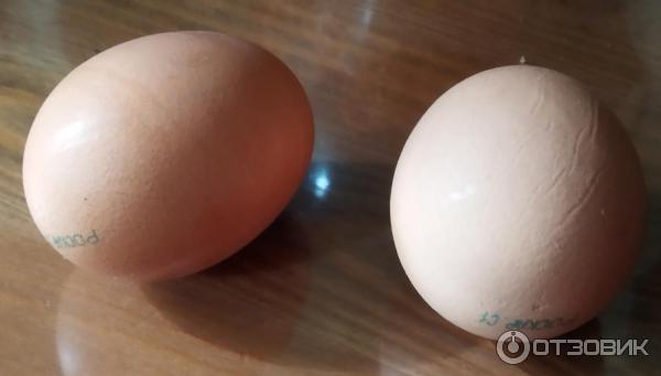 Отзыв о Яйца куриные "Щедрый год" | Яйца из "Чижика"