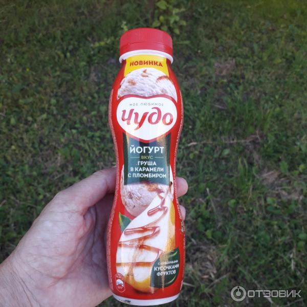 Отзыв о Йогурт фруктовый со вкусом Груша в карамели с пломбиром АО