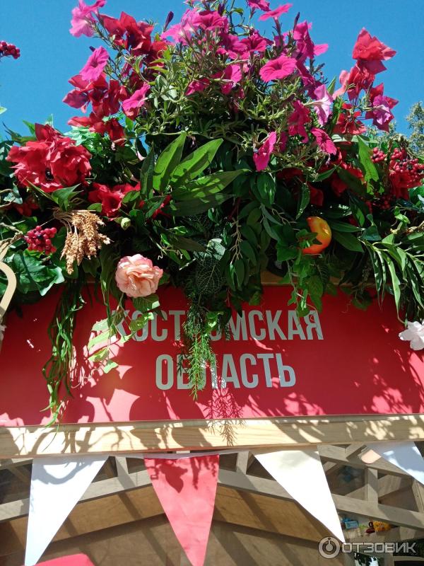 Отзыв о Гастрономический фестиваль "Вкусы России" (Россия, Москва ...