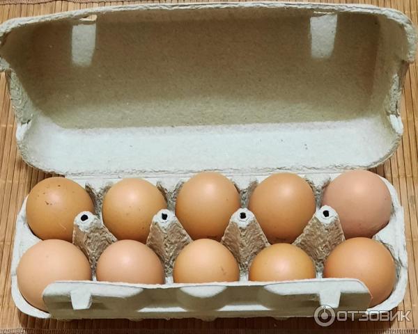 Отзыв о Яйца куриные "Щедрый год" | Вся ценность яйца заключается в его ...