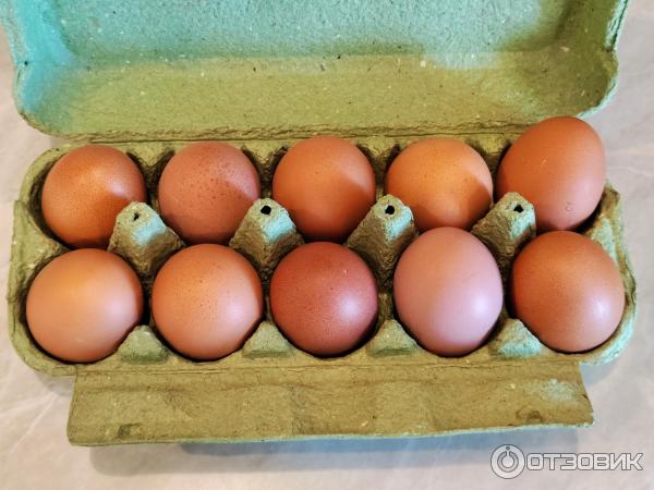 Отзыв о Яйцо куринное столовое "Селяночка" С1 | Качественный продукт!