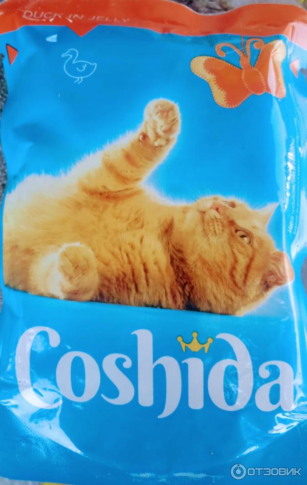 Отзыв о Корм для кошек Coshida | Кот оценил мой выбор!