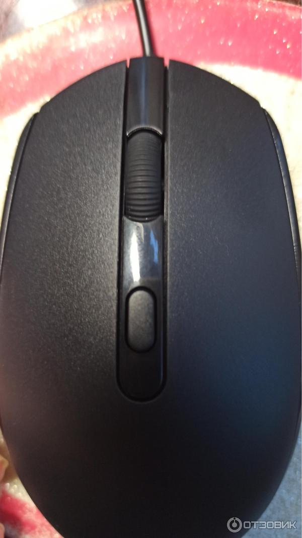 Отзыв о Мышь проводная DEXP CM-M529 | Простая, но удобная манипулятивная мышка