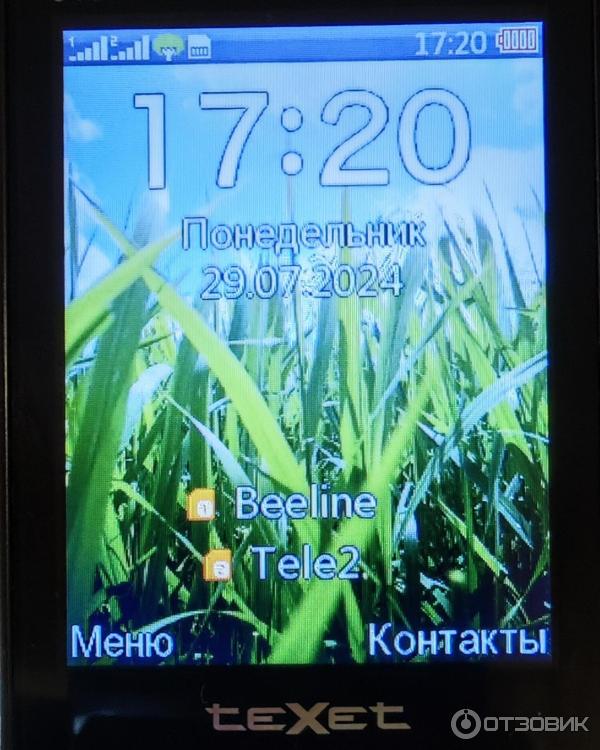 Отзыв о Кнопочный телефон TeXet TM-315 | Обычная, недорогая звонилка, со значительным минусом.