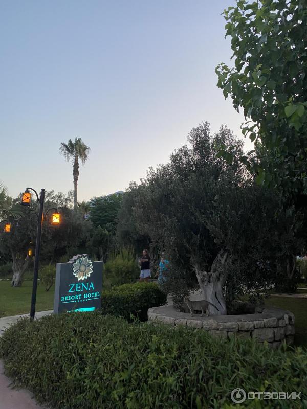 Отзыв о Отель Zena Resort 5* (Турция, Кемер) | Качественный отдых по приемлемой цене.