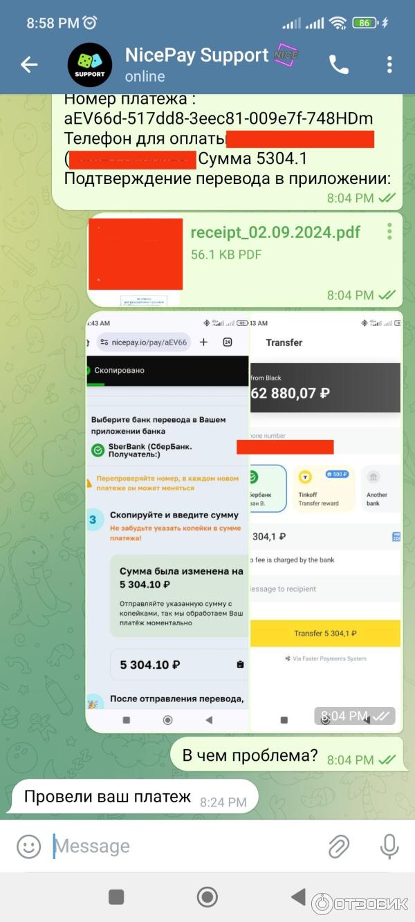 Отзыв о Платежная система NicePay | Не рекомендую