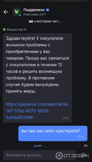 Отзыв о Playerok.com - интернет-магазин игровых товаров и услуг | Худший из существующих ...