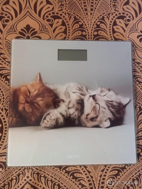 Отзыв о Весы напольные электронные DEXP SCL-30P | Хорошие бюджетные весы.