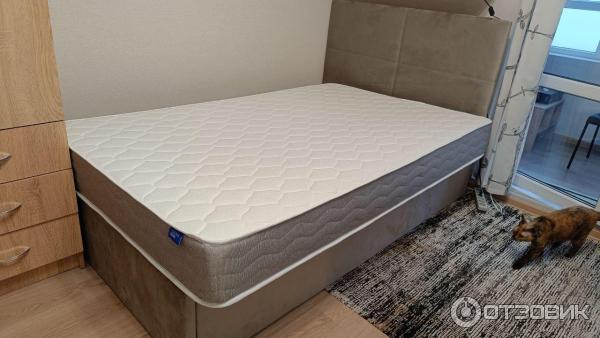 Отзыв о Матрас Askona Basic Optima Hard | Очень хороший матрас