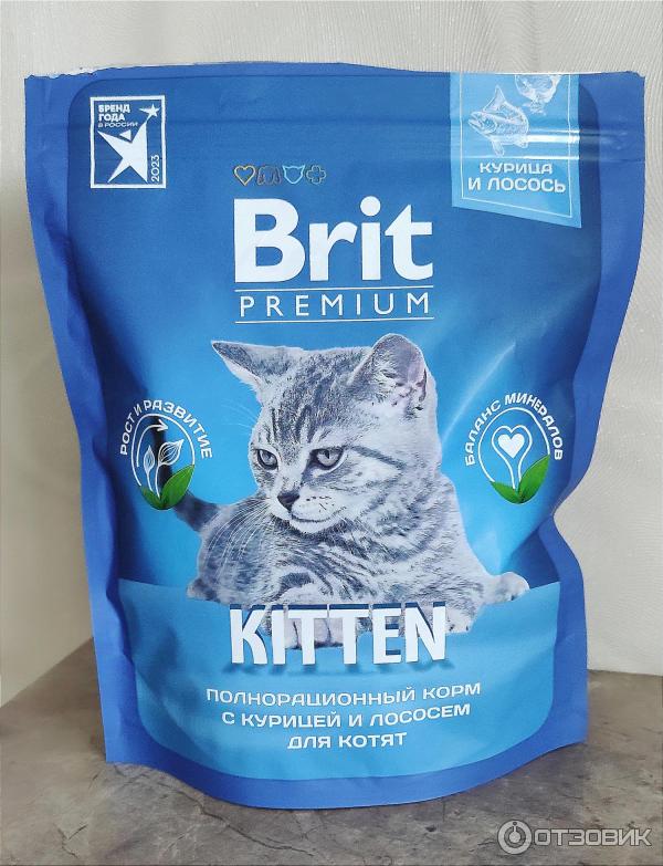 Отзыв о Сухой корм для котят Brit Premium | Качественный корм для котят