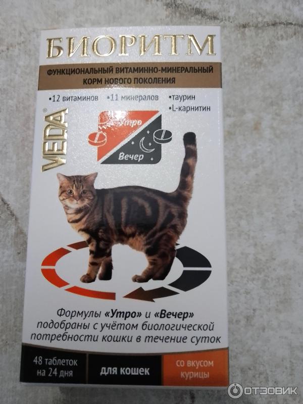 Отзыв о Витамины для кошек Веда "Биоритм" | Начала поддержку болеющего ...