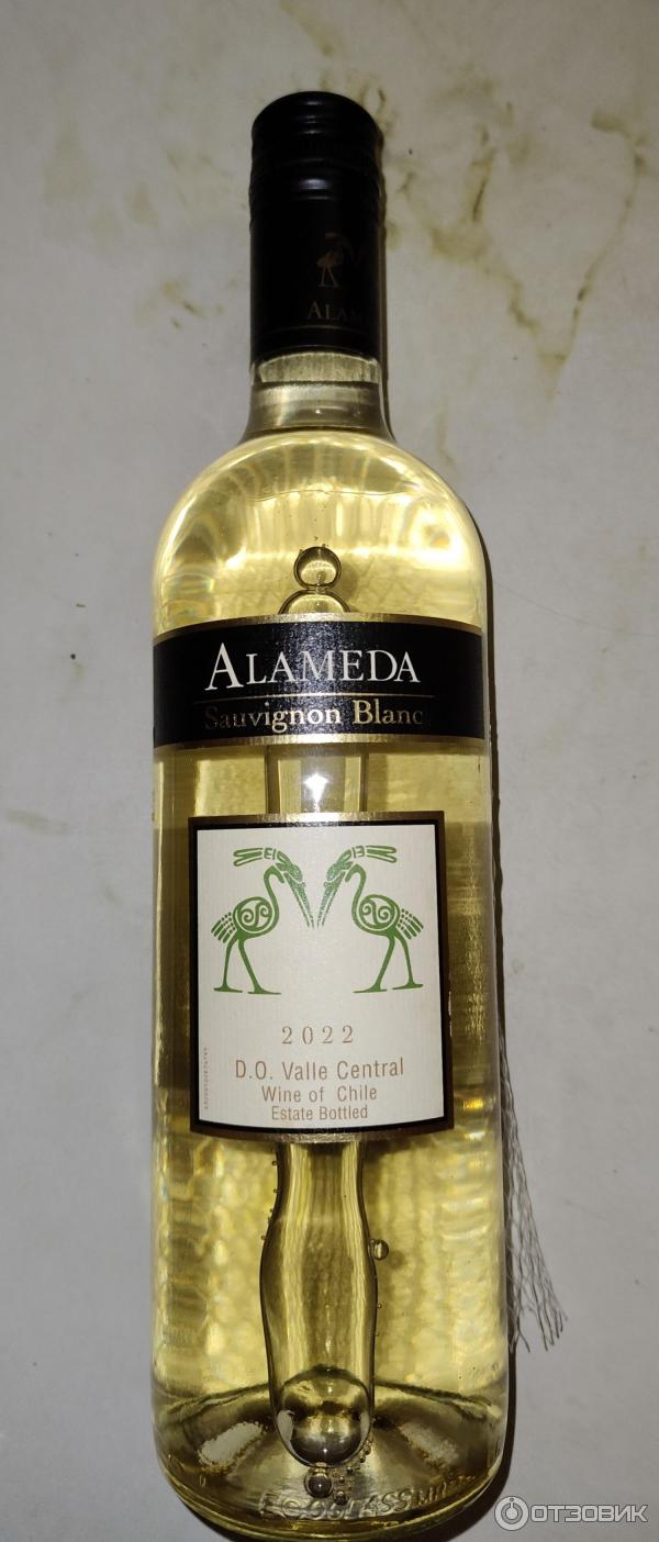Отзыв о Вино белое полусухое Alameda Sauvignon Blan 2022 | добротное ...